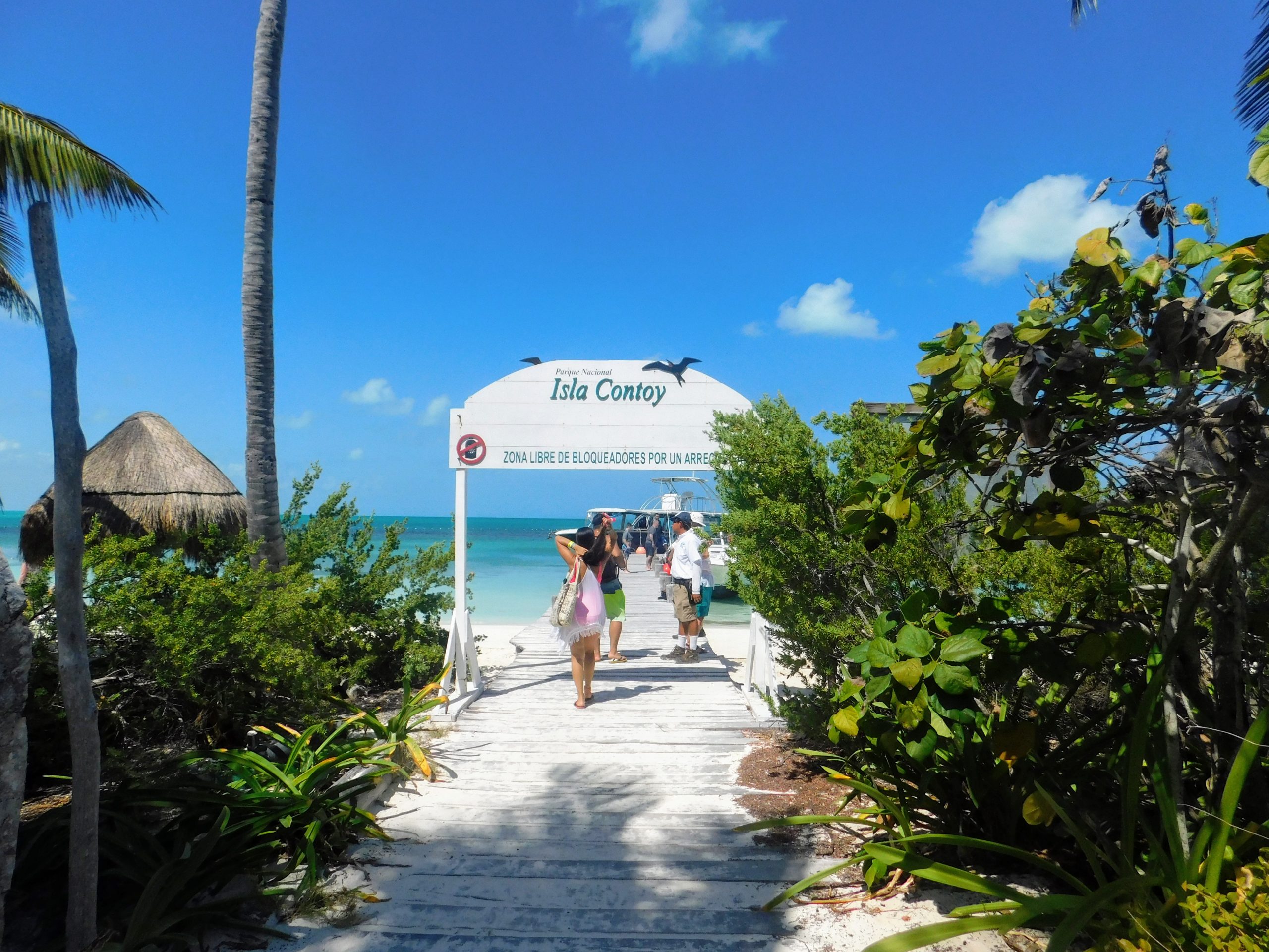 How to Make the Most out of Your Trip to Isla Contoy!